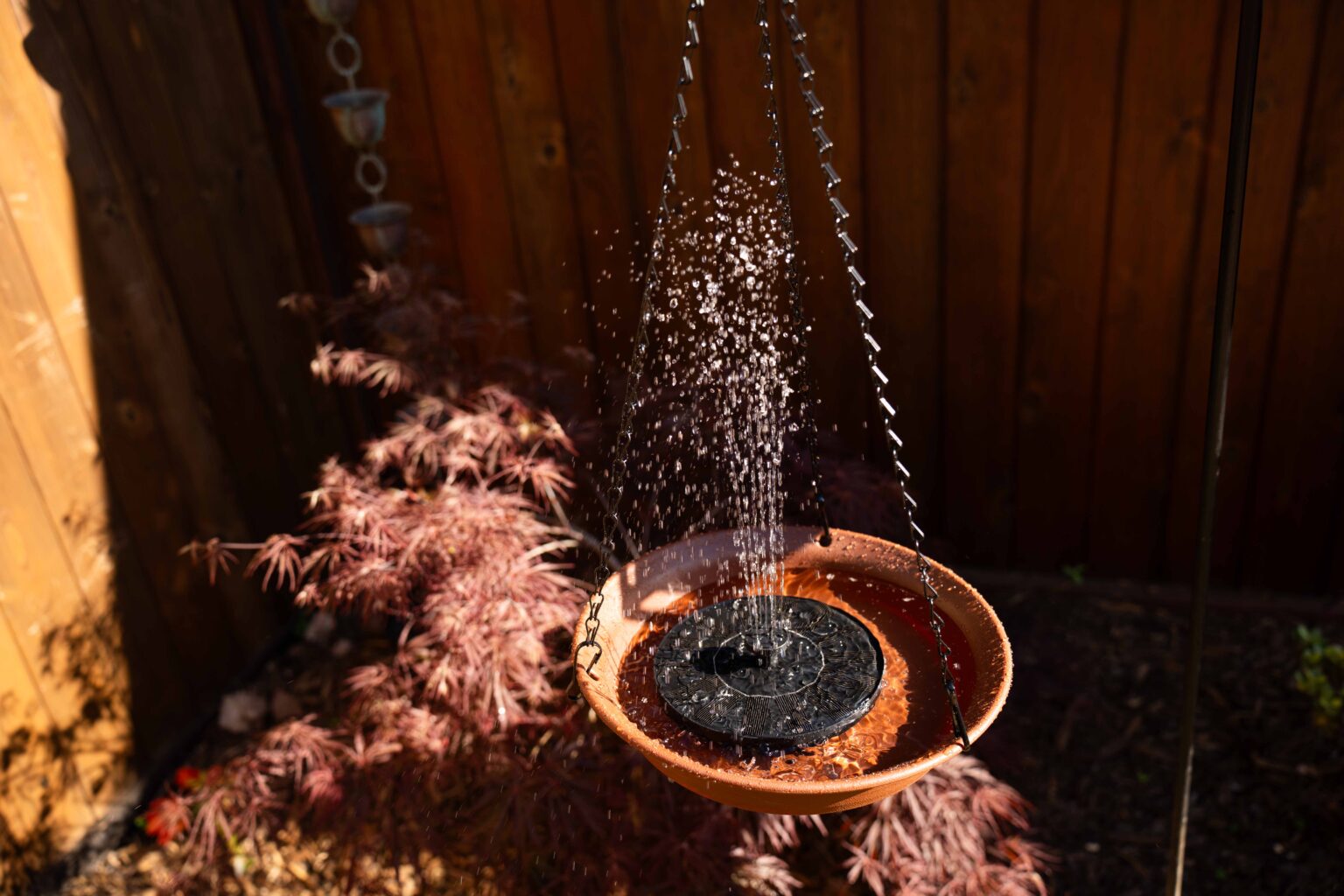 Solar Splash Fountain: The Ultimate Buyer’s Guide (What Real Users ...